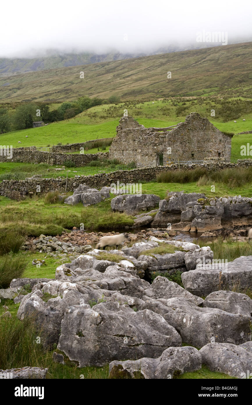 Ribblehead yorkshire dales england hi-res stock photography and images ...