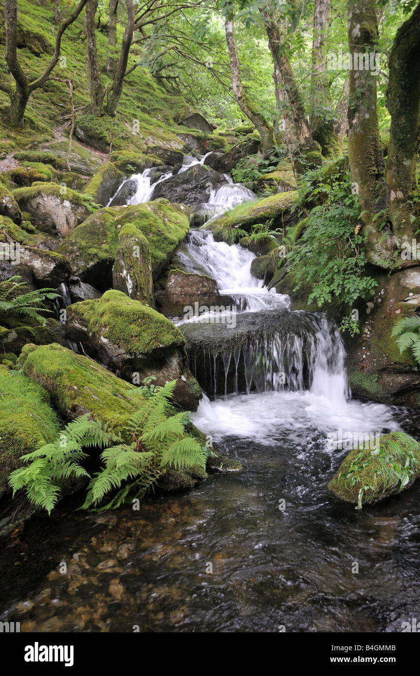 Y mountain stream hi-res stock photography and images - Alamy