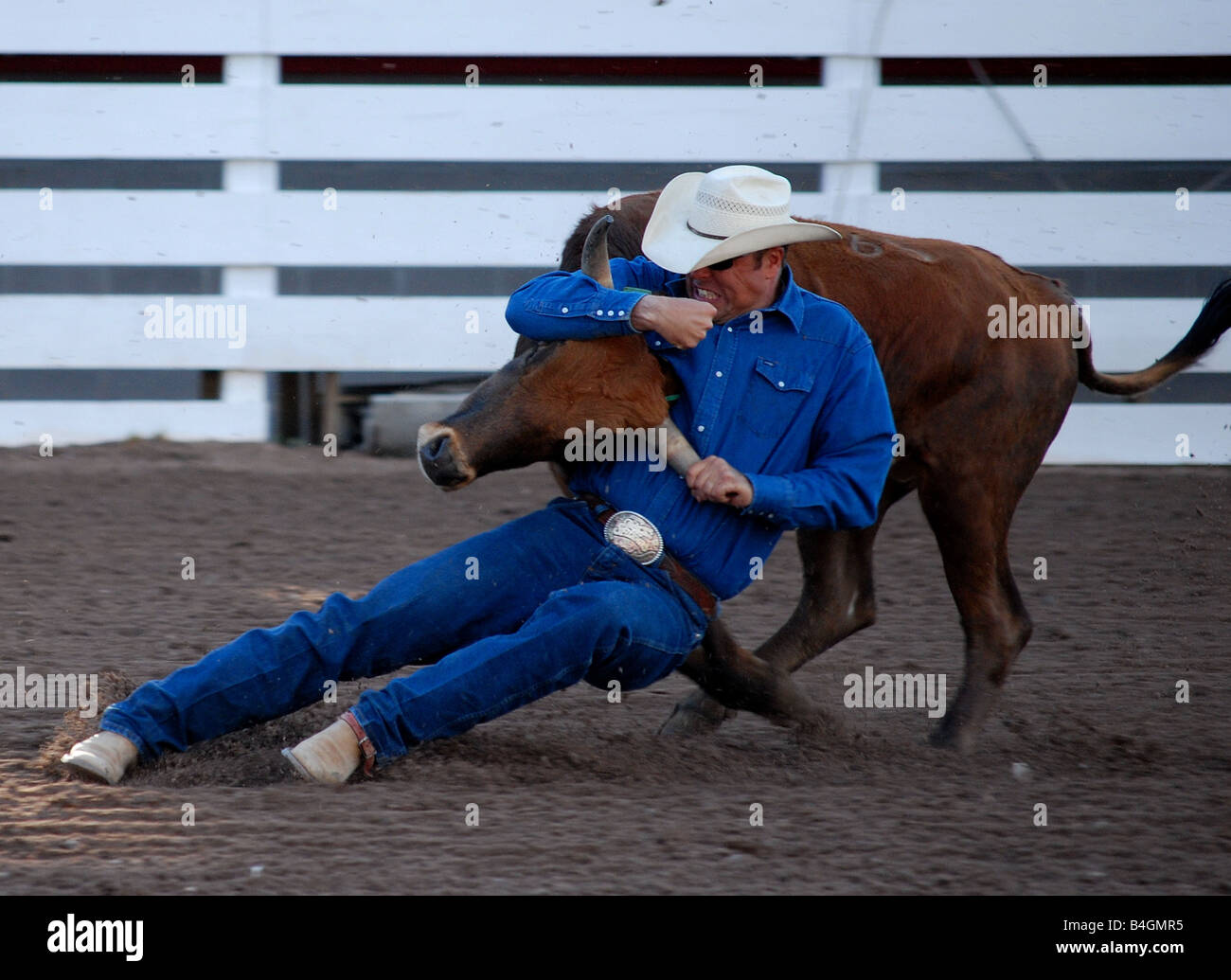 Nfr Steer Wrestling