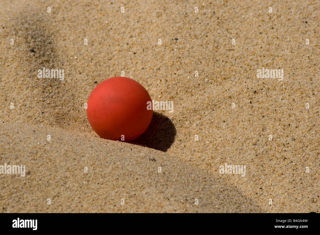 Paddle ball and toy hi-res stock photography and images - Alamy