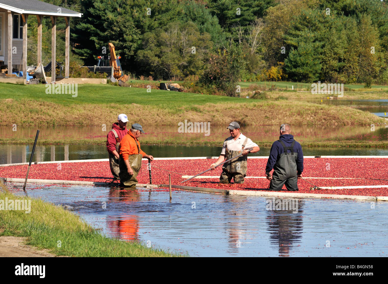 Bogs hi-res stock photography and images - Alamy
