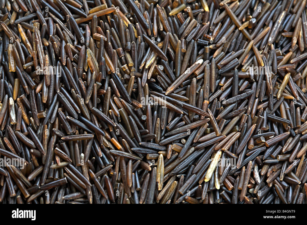 Raw Rice Stock Photos & Raw Rice Stock Images - Alamy