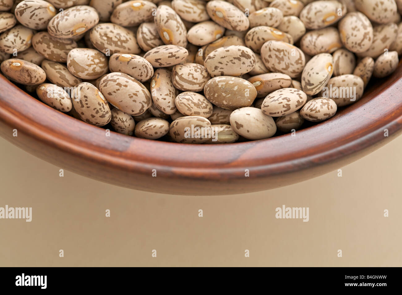 Pinto Bean High Resolution Stock Photography and Images - Alamy