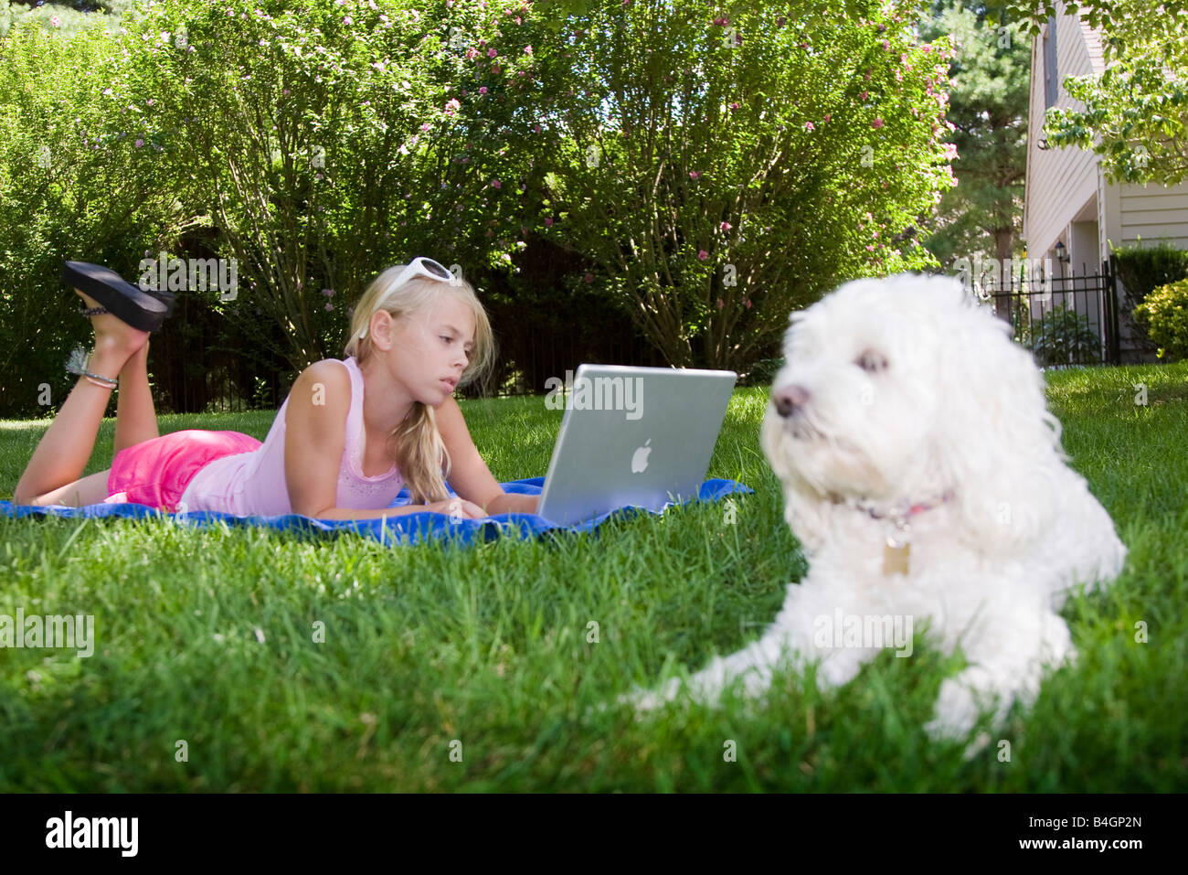 Young girl working on a laptop with her dog close by Stock Photo - Alamy