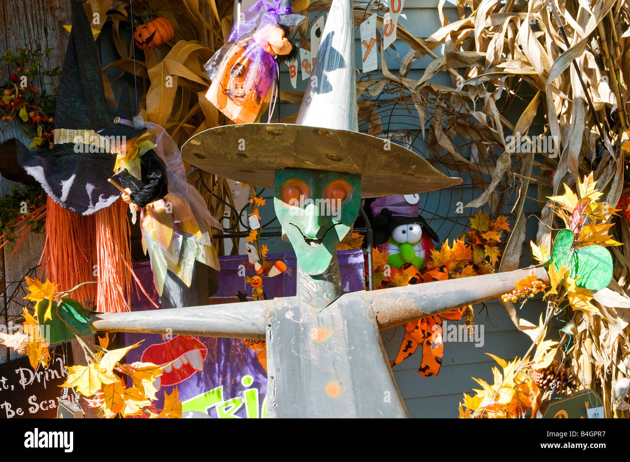Season of the witch hi-res stock photography and images - Alamy