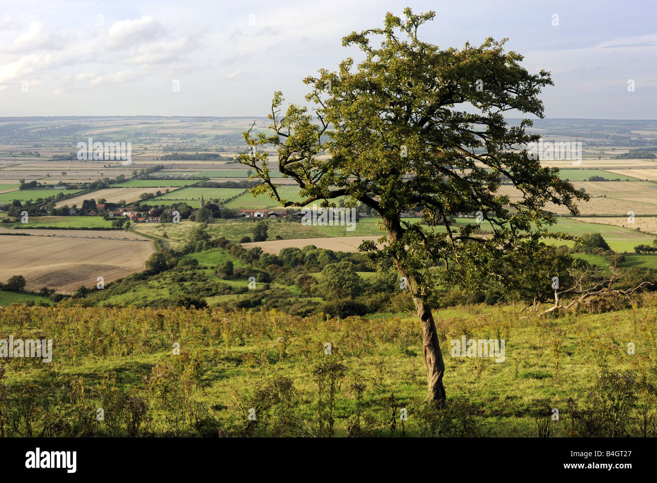 Staxton village hi-res stock photography and images - Alamy