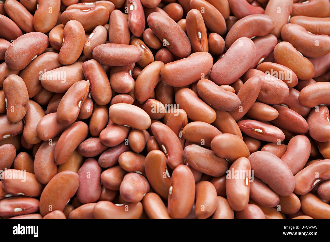 Dried common bean hi-res stock photography and images - Alamy