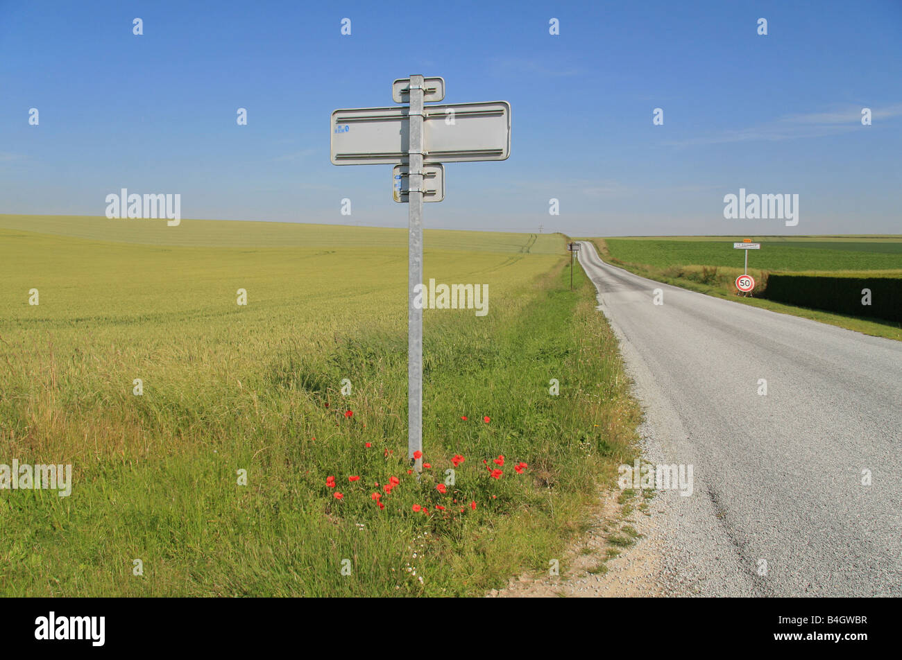 Poppies growing close to the position of the British front line on 1st ...