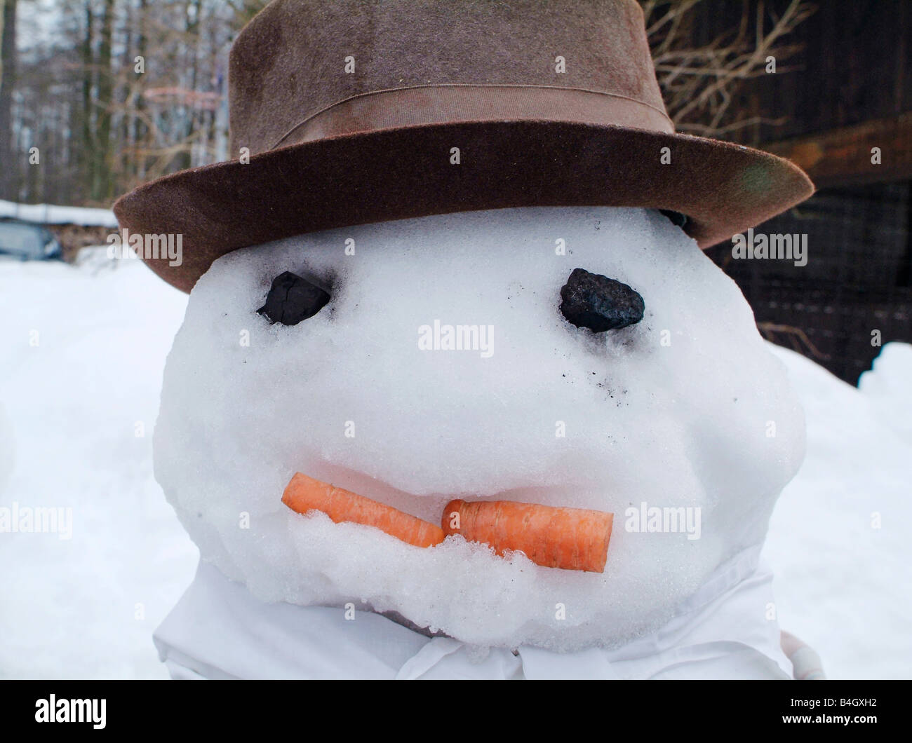 Snowman Carrot Nose High Resolution Stock Photography and Images - Alamy