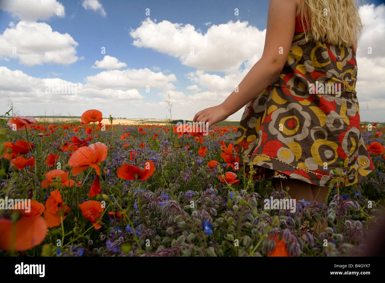 Children playing in poppy field Stock Photo - Alamy