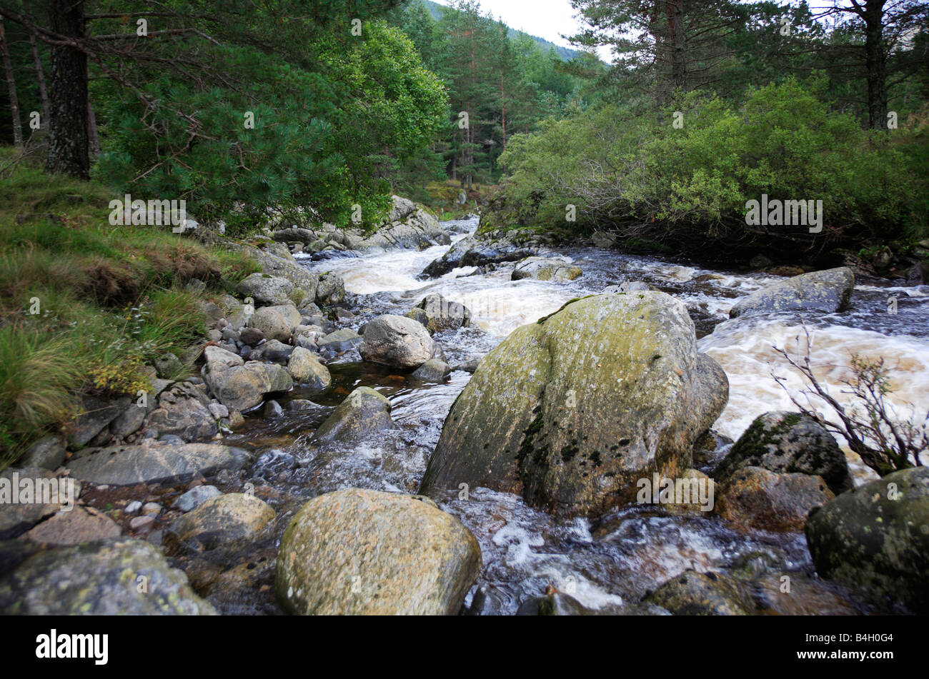 Waterfall and pine trees scotland hi-res stock photography and images ...