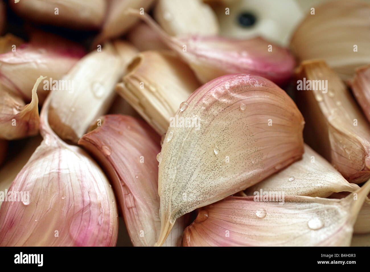 Garlic cloves close up Stock Photo - Alamy