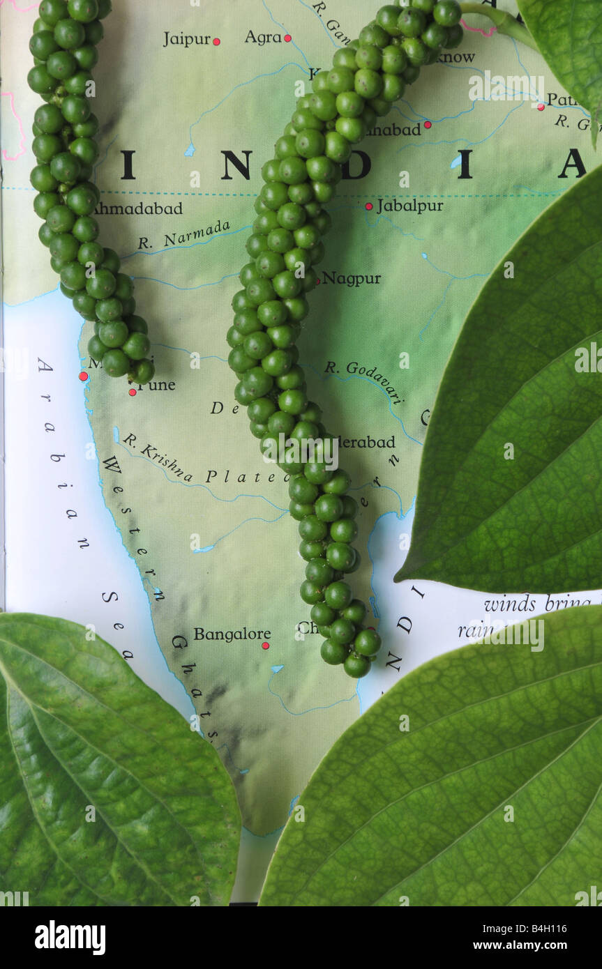Spice map hi-res stock photography and images - Alamy
