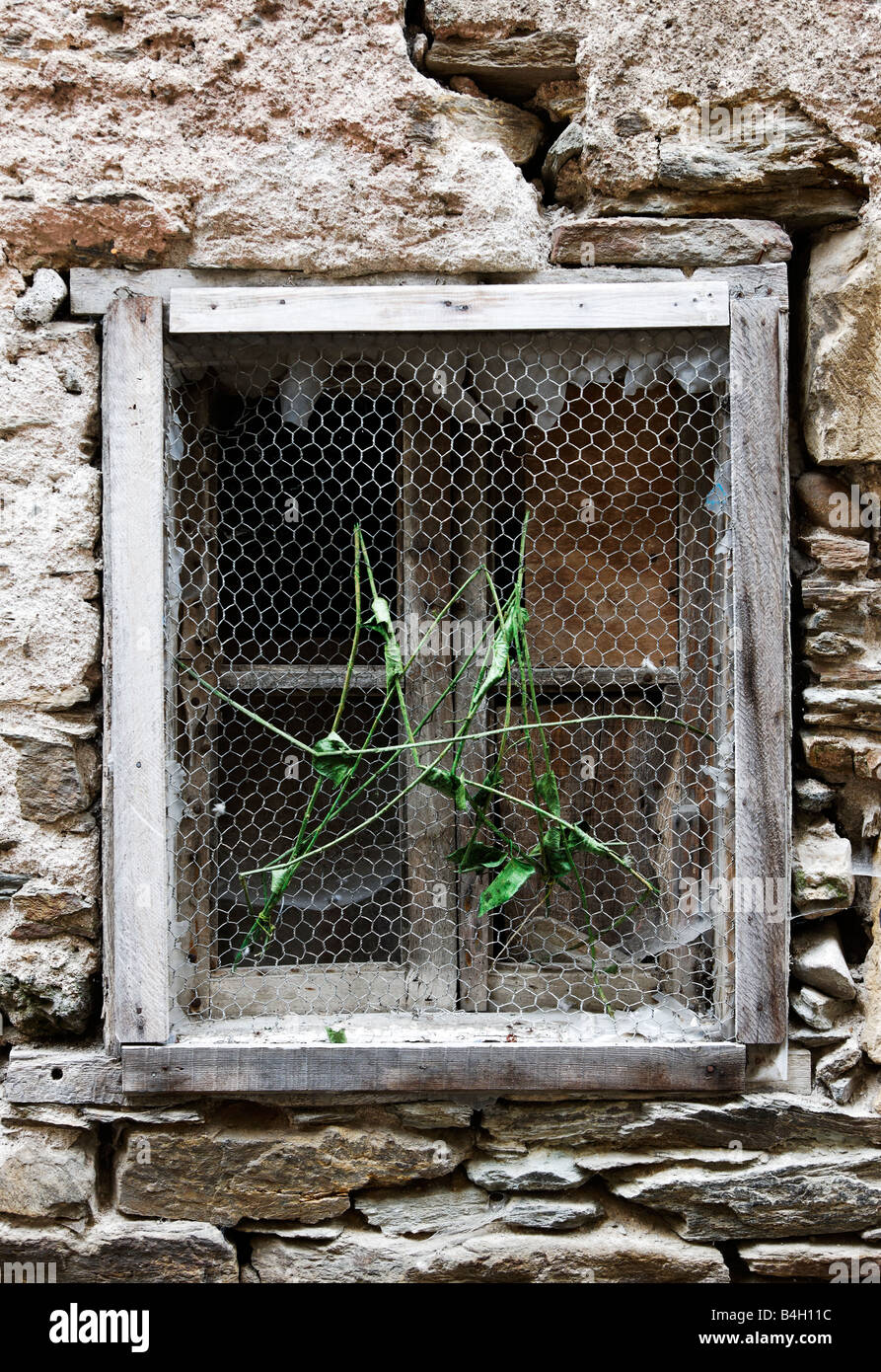 An old chicken wire covered window Stock Photo - Alamy