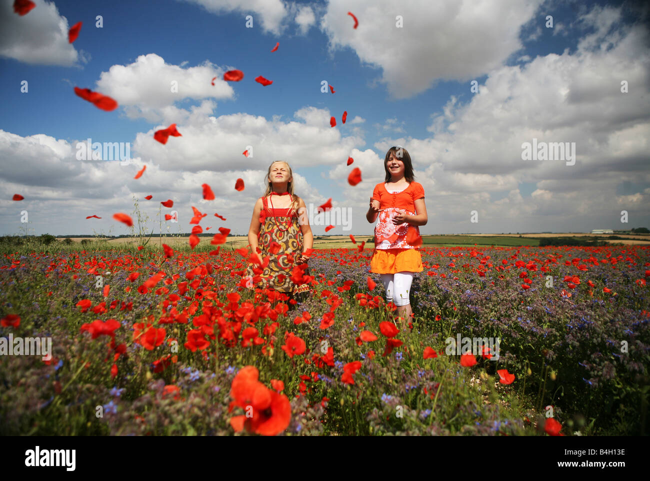 Poppy poppies field in Lincolnshire with children playing girls child ...