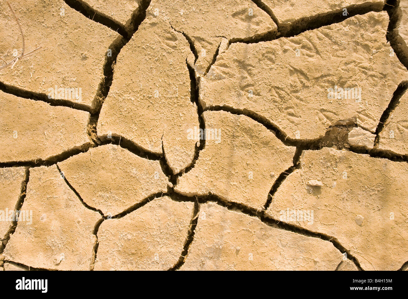 Cracks in dry soil Stock Photo - Alamy