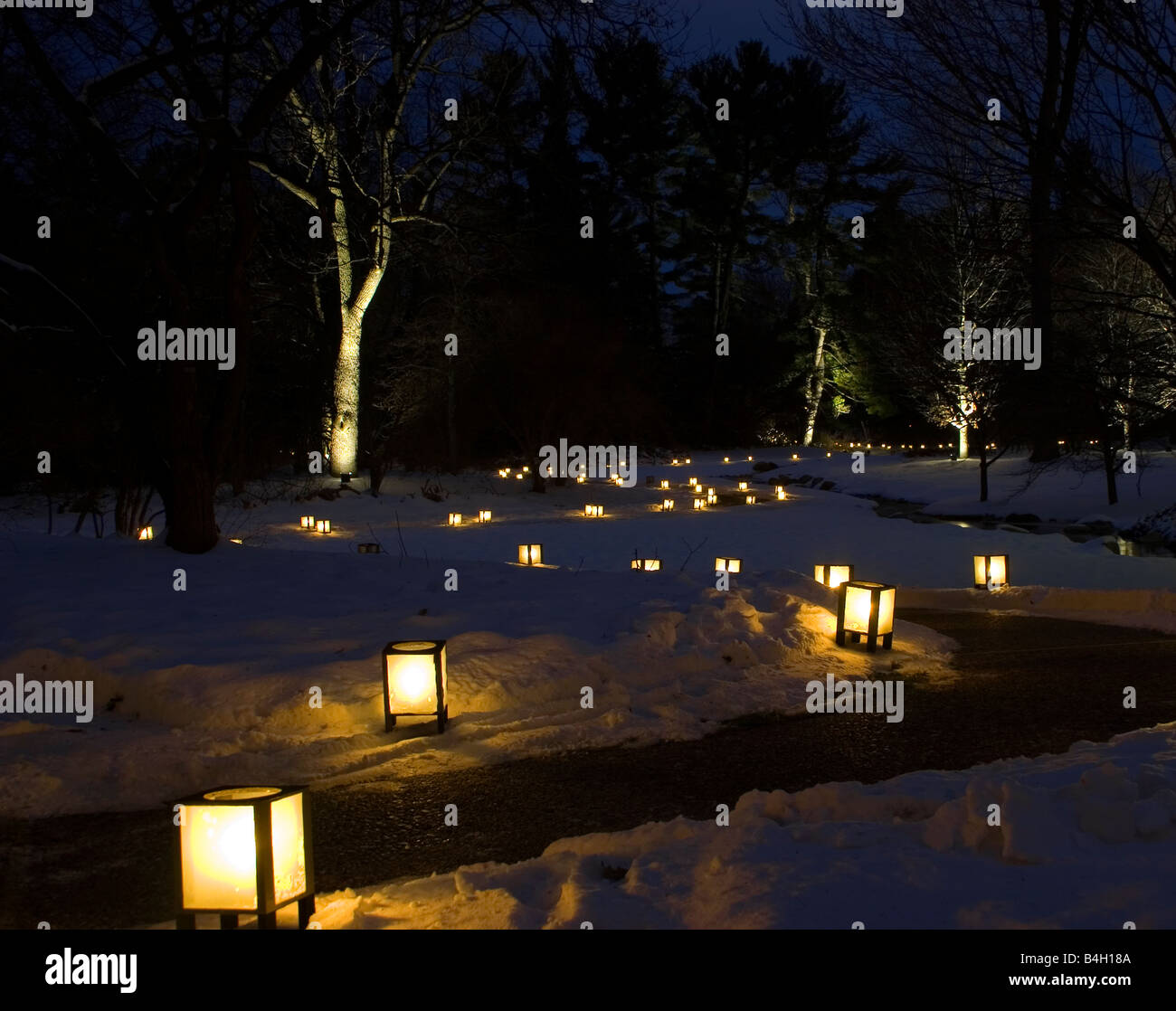 A path is illuminated with luminaries through a garden, as trees are ...