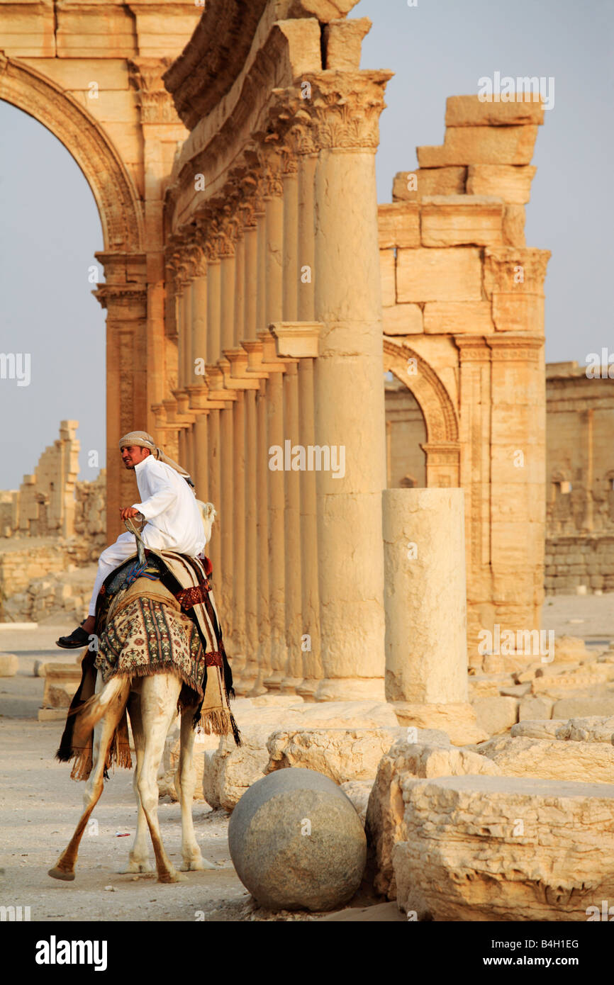 Syrian camel hi-res stock photography and images - Alamy