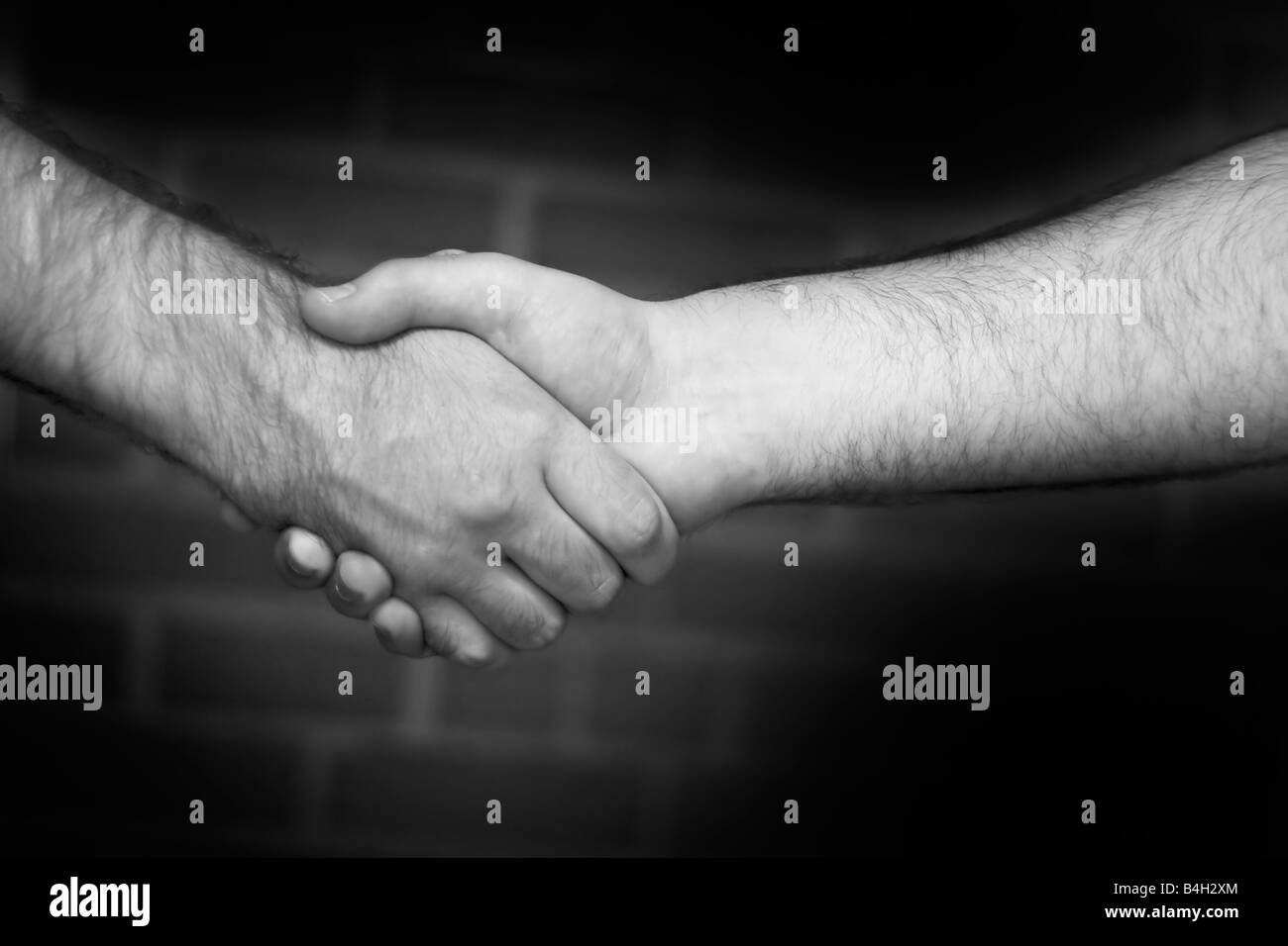 Black hand shaking white hand hi-res stock photography and images - Alamy