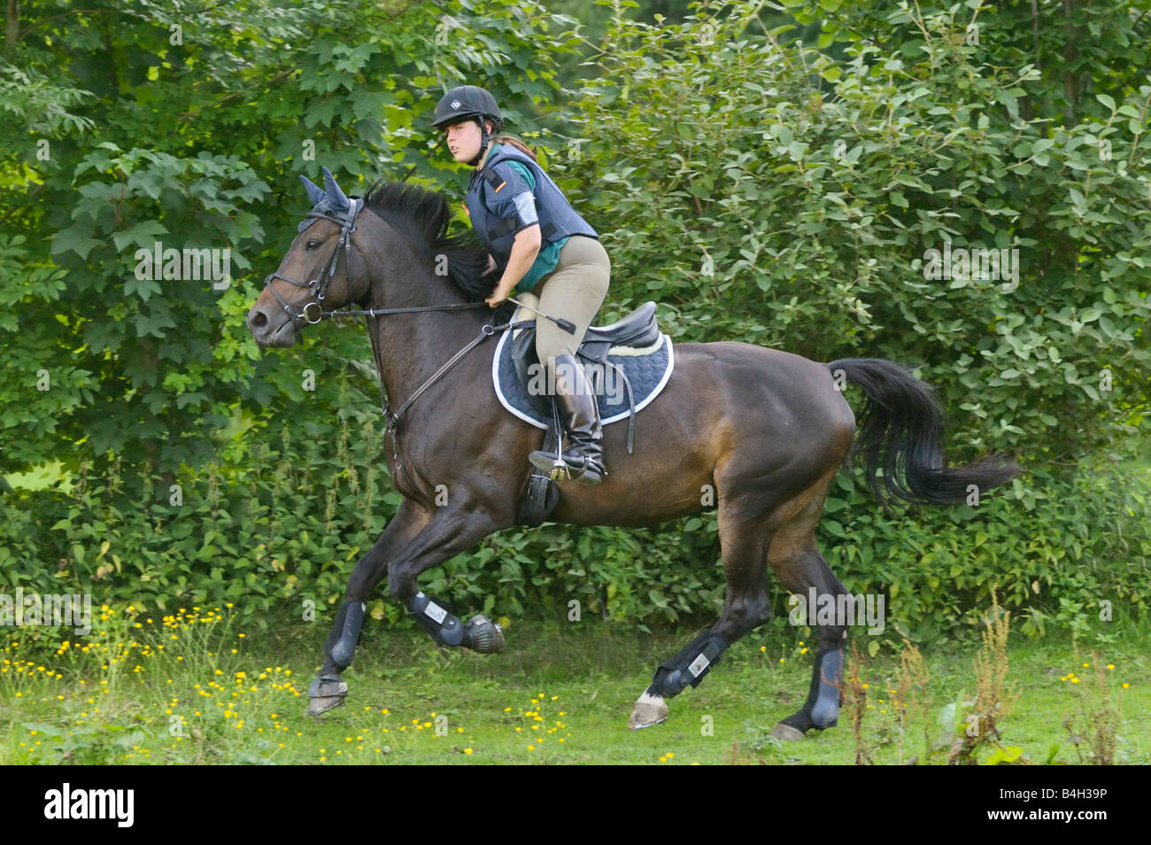Young german rider hi-res stock photography and images - Alamy