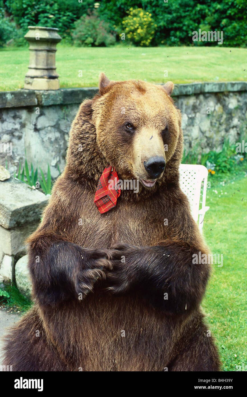 Andy robin hercules hi-res stock photography and images - Alamy