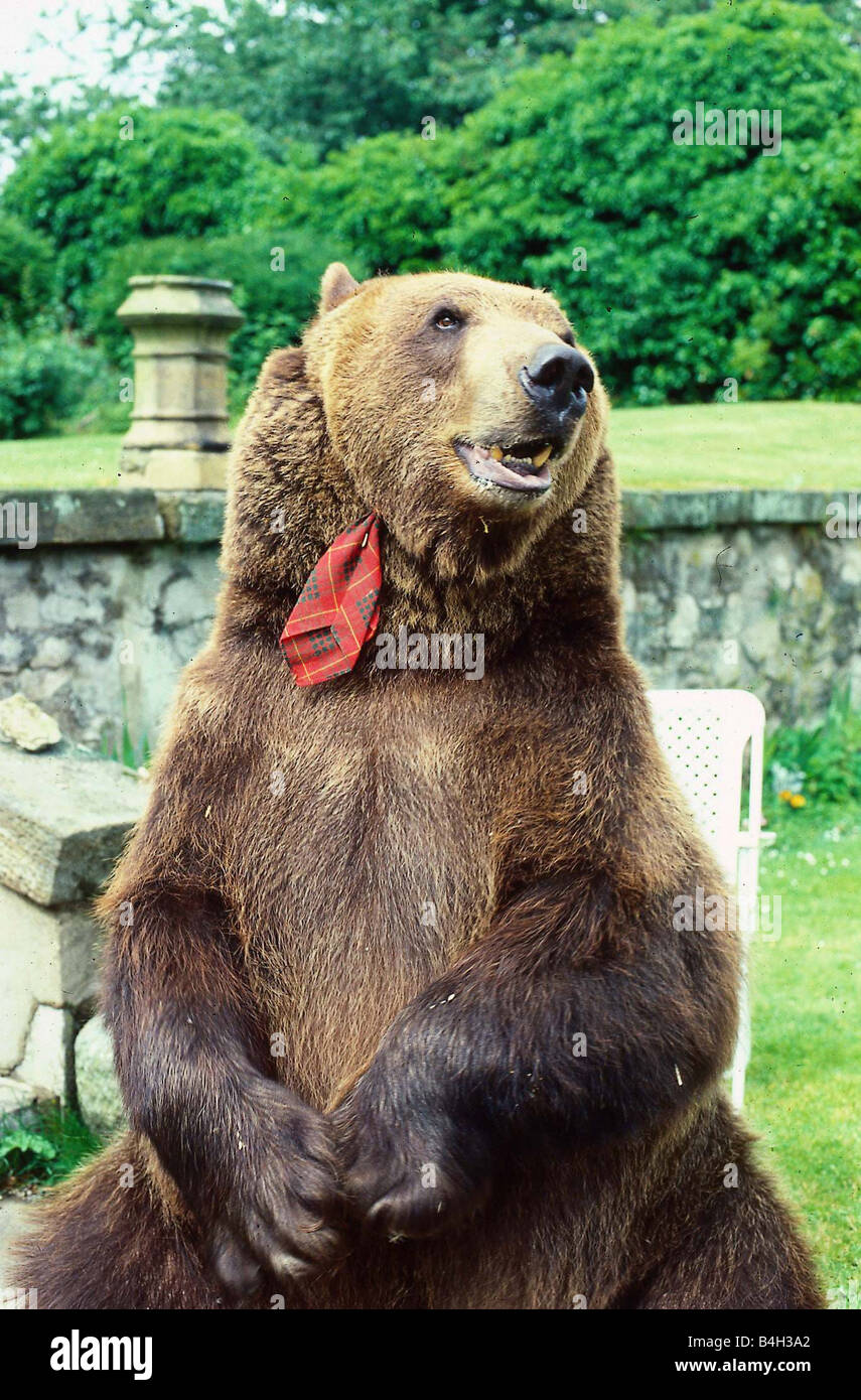 Andy robin hercules hi-res stock photography and images - Alamy