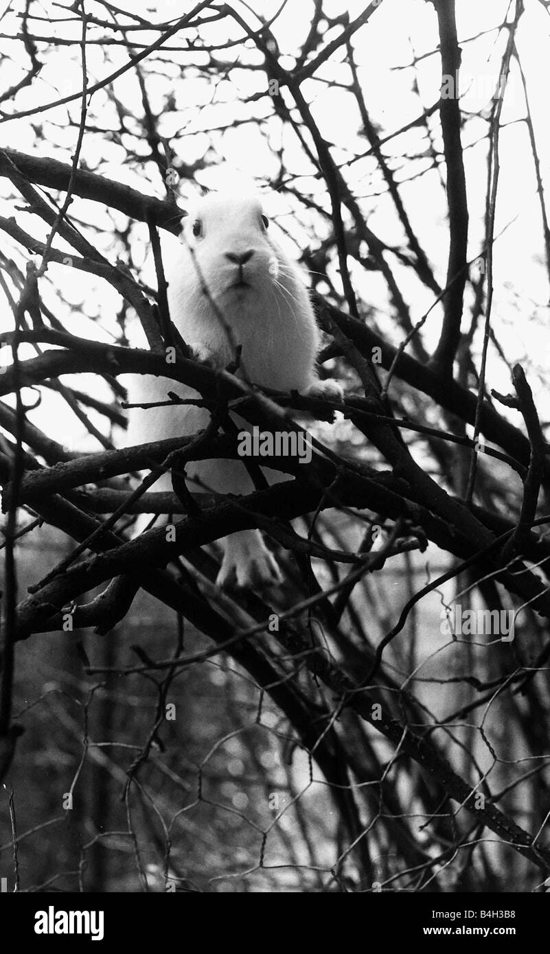 Stuck up Black and White Stock Photos & Images - Alamy