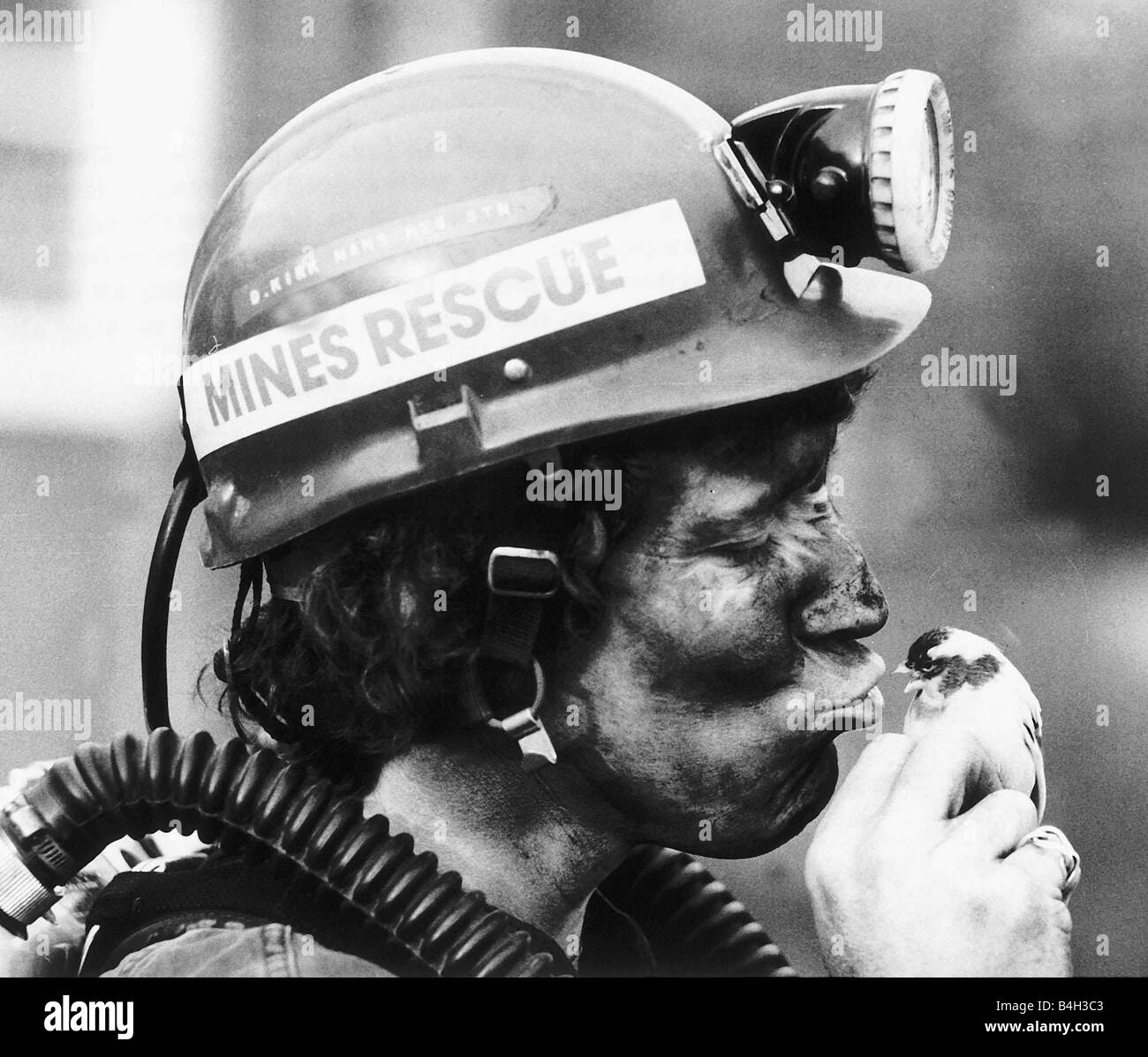 David miner hi-res stock photography and images - Alamy