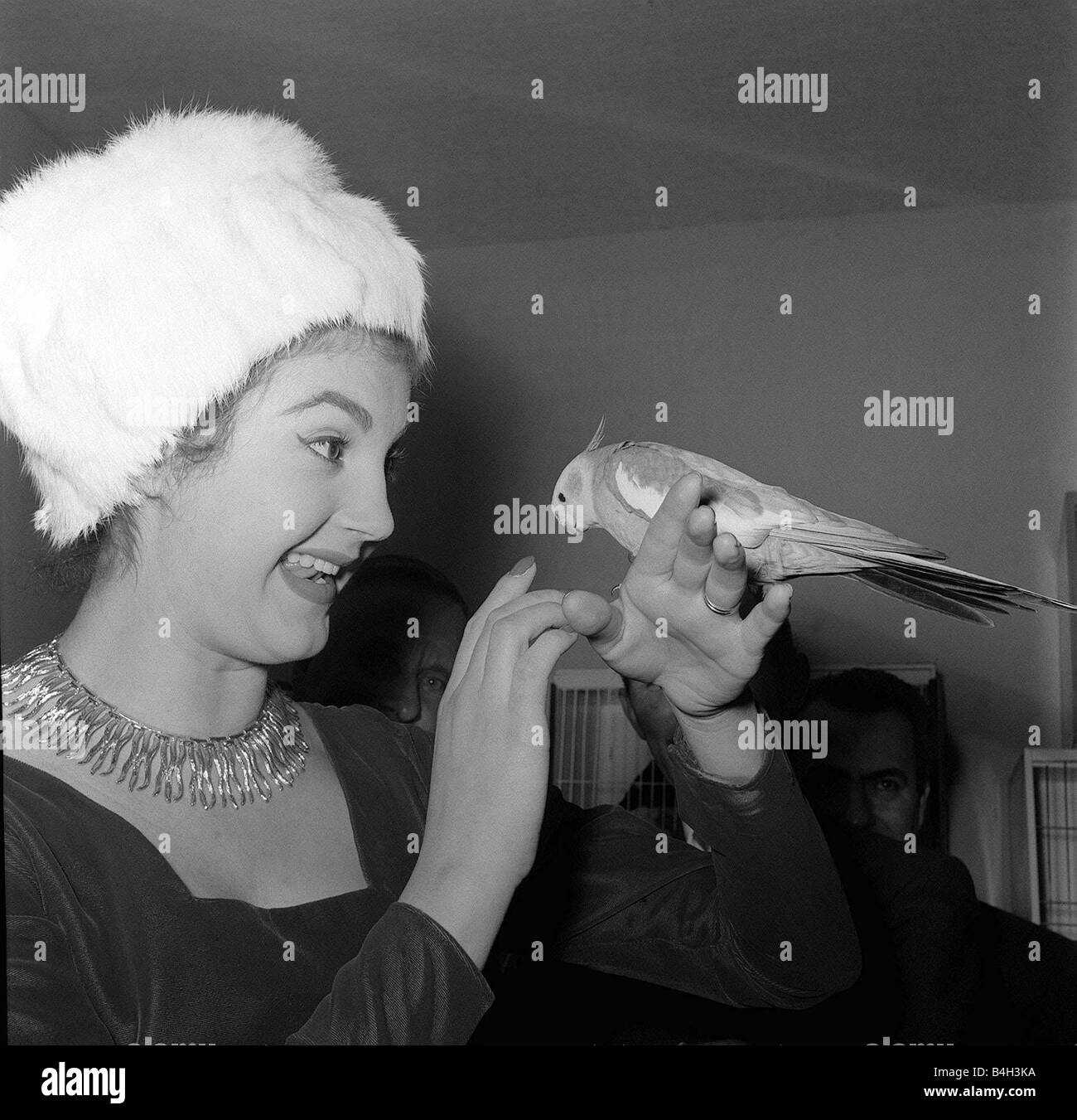 National Cage Bird Exhibition 1959 Olympia Joyce Blackham one of the ...