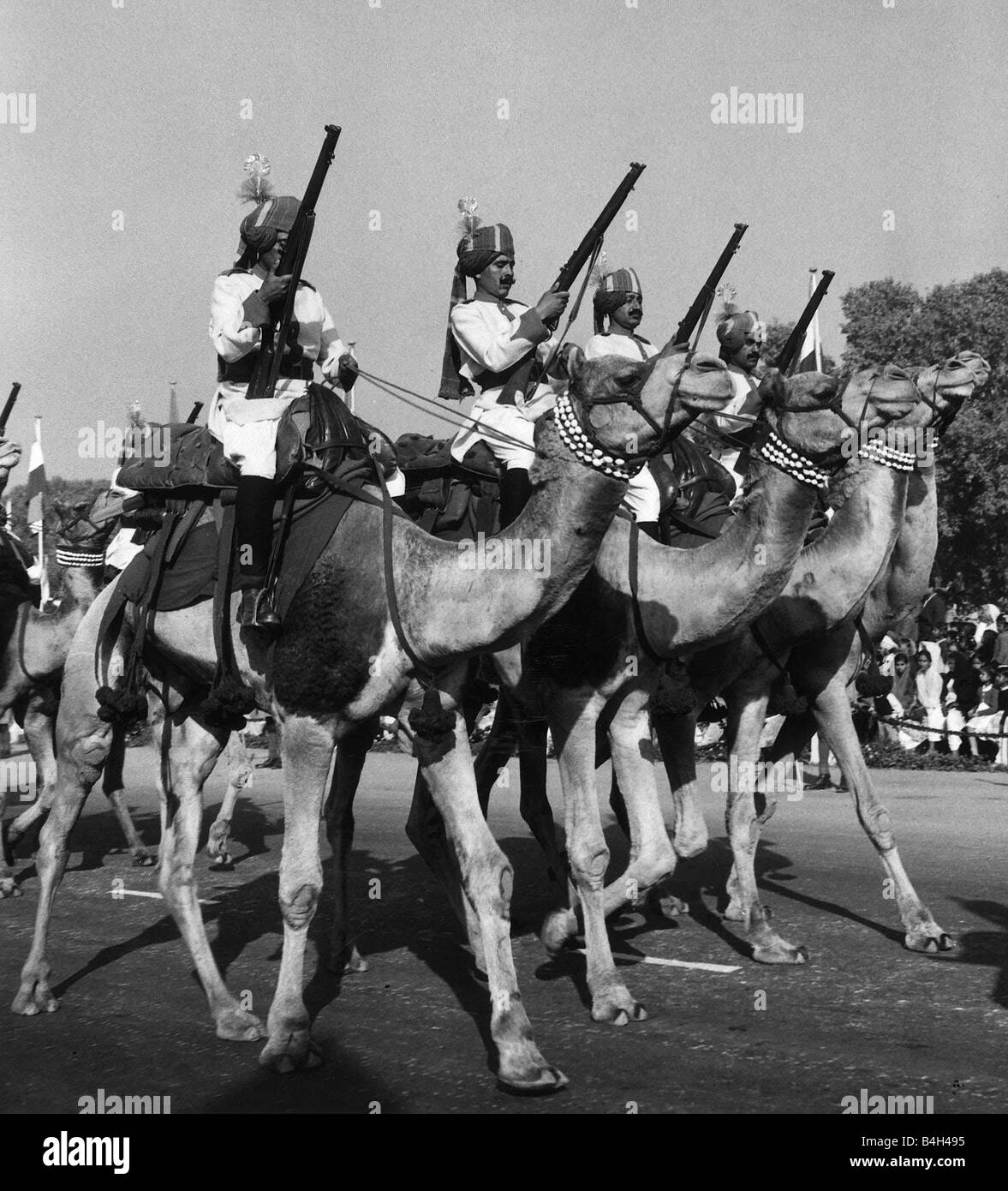 Animals at War Camels January 1961 A dress rehearsal in Dehli at the ...