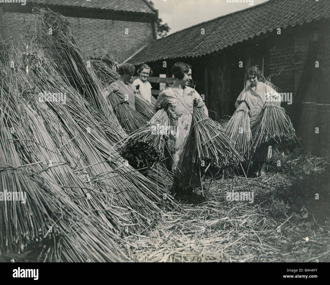 Norfolk Girls preparing rushes for basket and matt weaving August 1934 ...