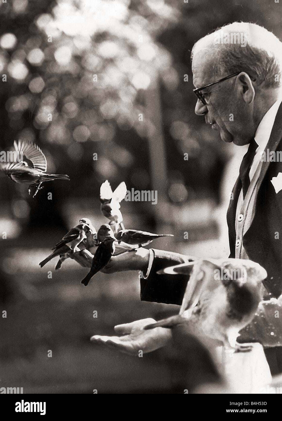 1960s feeding wildlife hi-res stock photography and images - Alamy