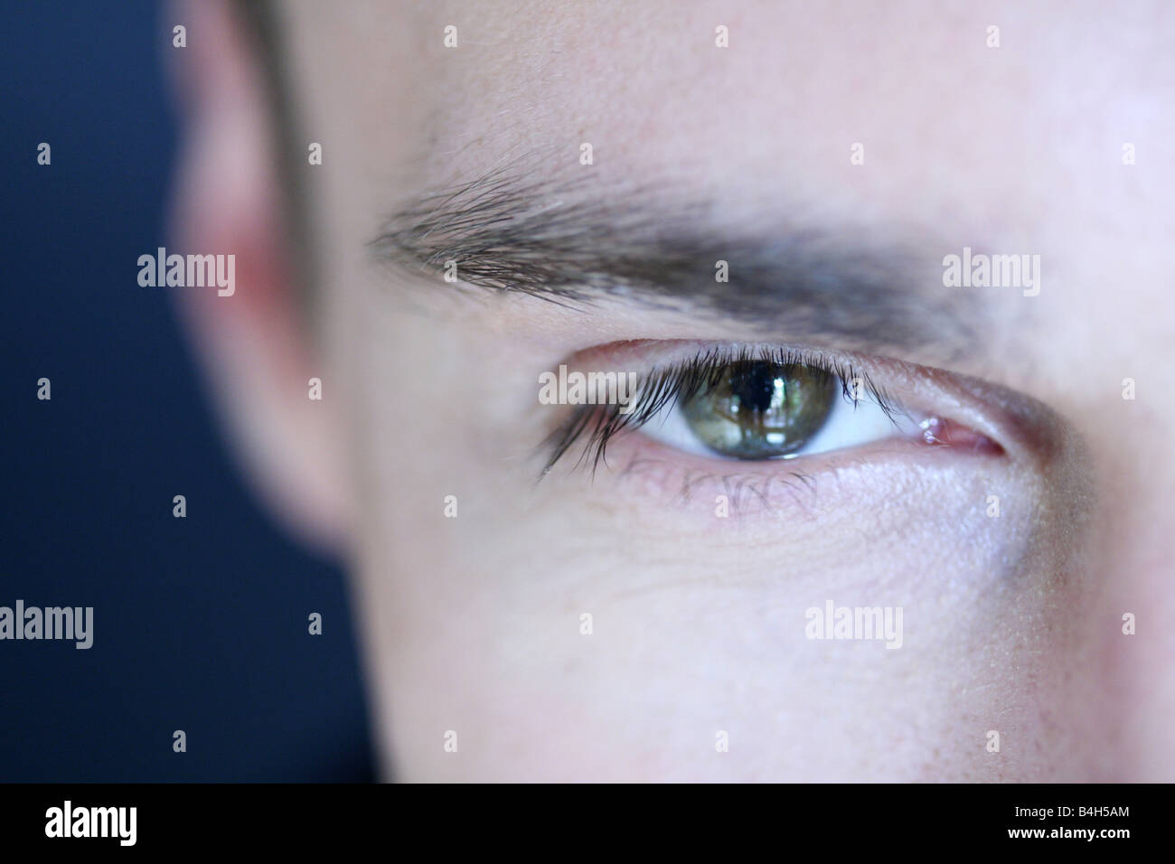 Horizontal section human eye hi-res stock photography and images - Alamy