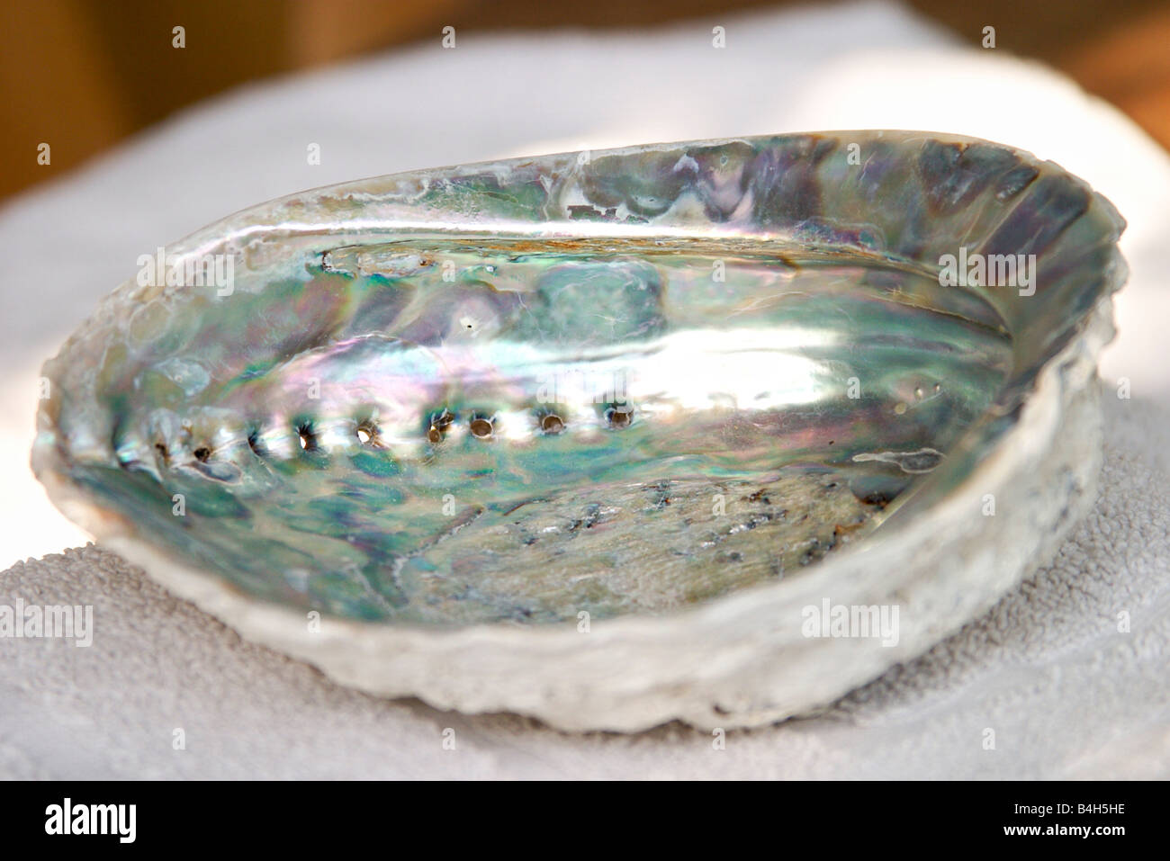 Clam shell images hi-res stock photography and images - Alamy