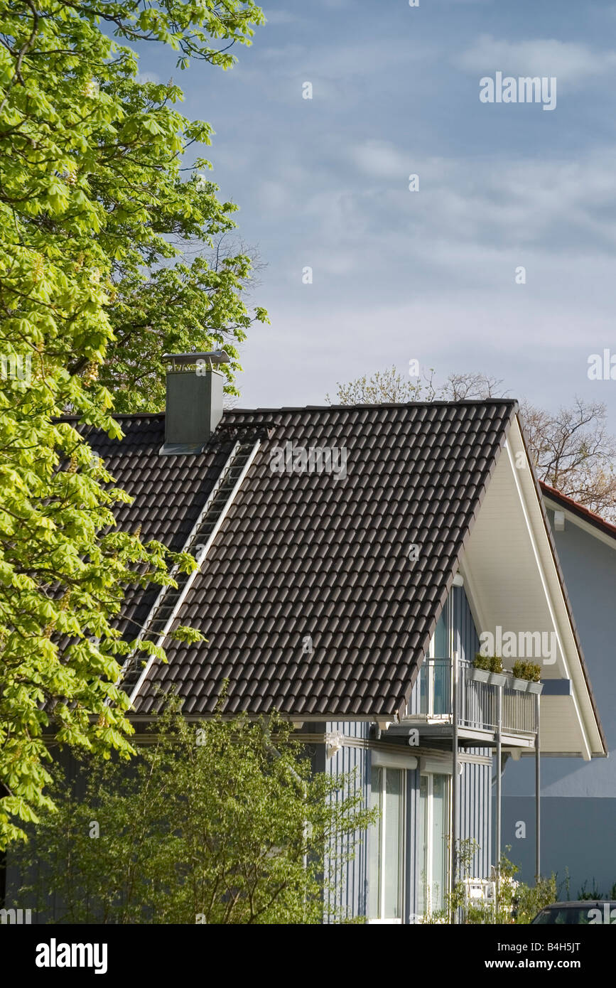 Trees in front of building Stock Photo - Alamy