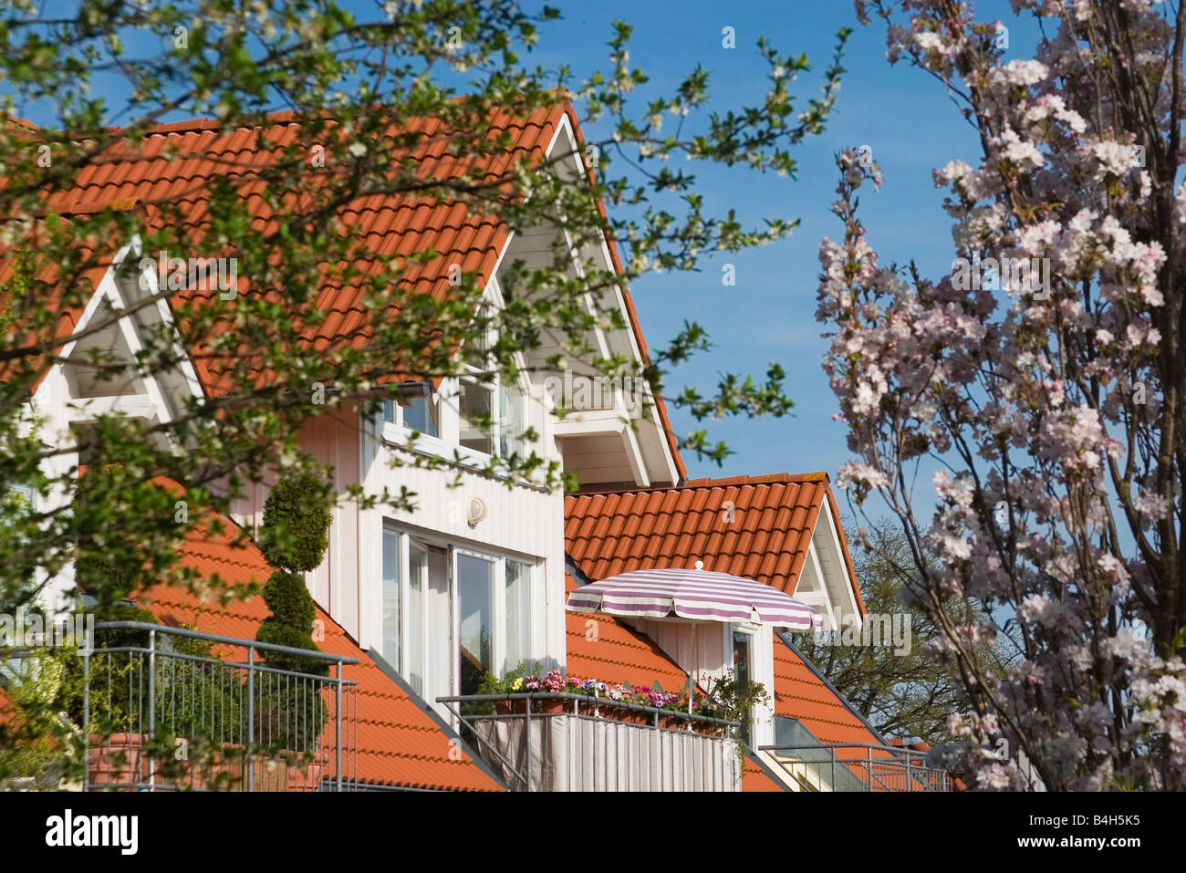 Trees in front of building Stock Photo - Alamy