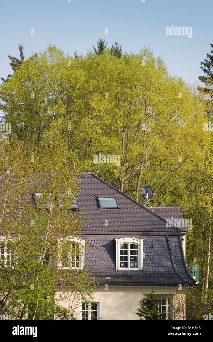 Trees in front of building Stock Photo - Alamy