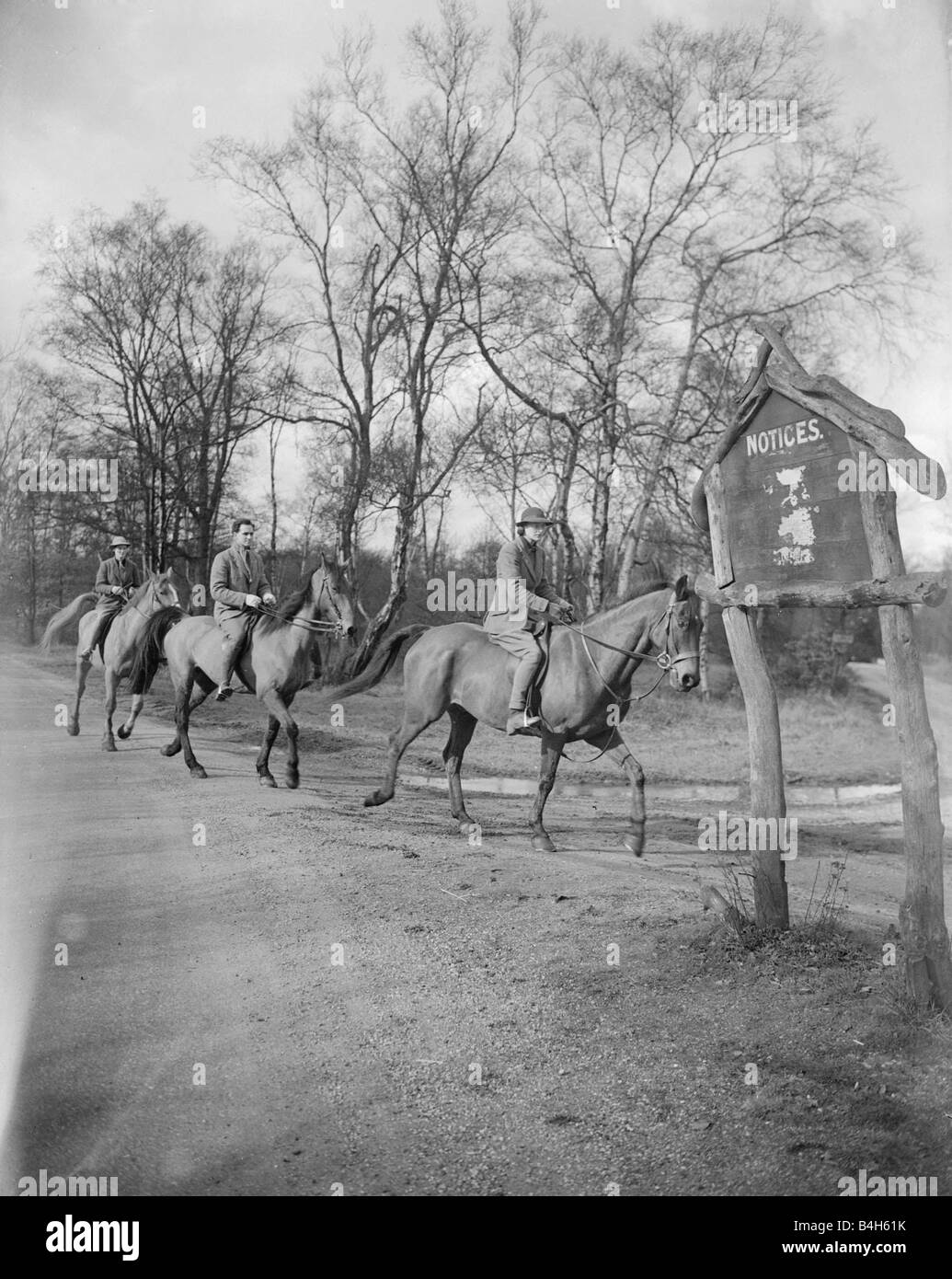 A trio of friends out for a hack through the English countryside Circa ...