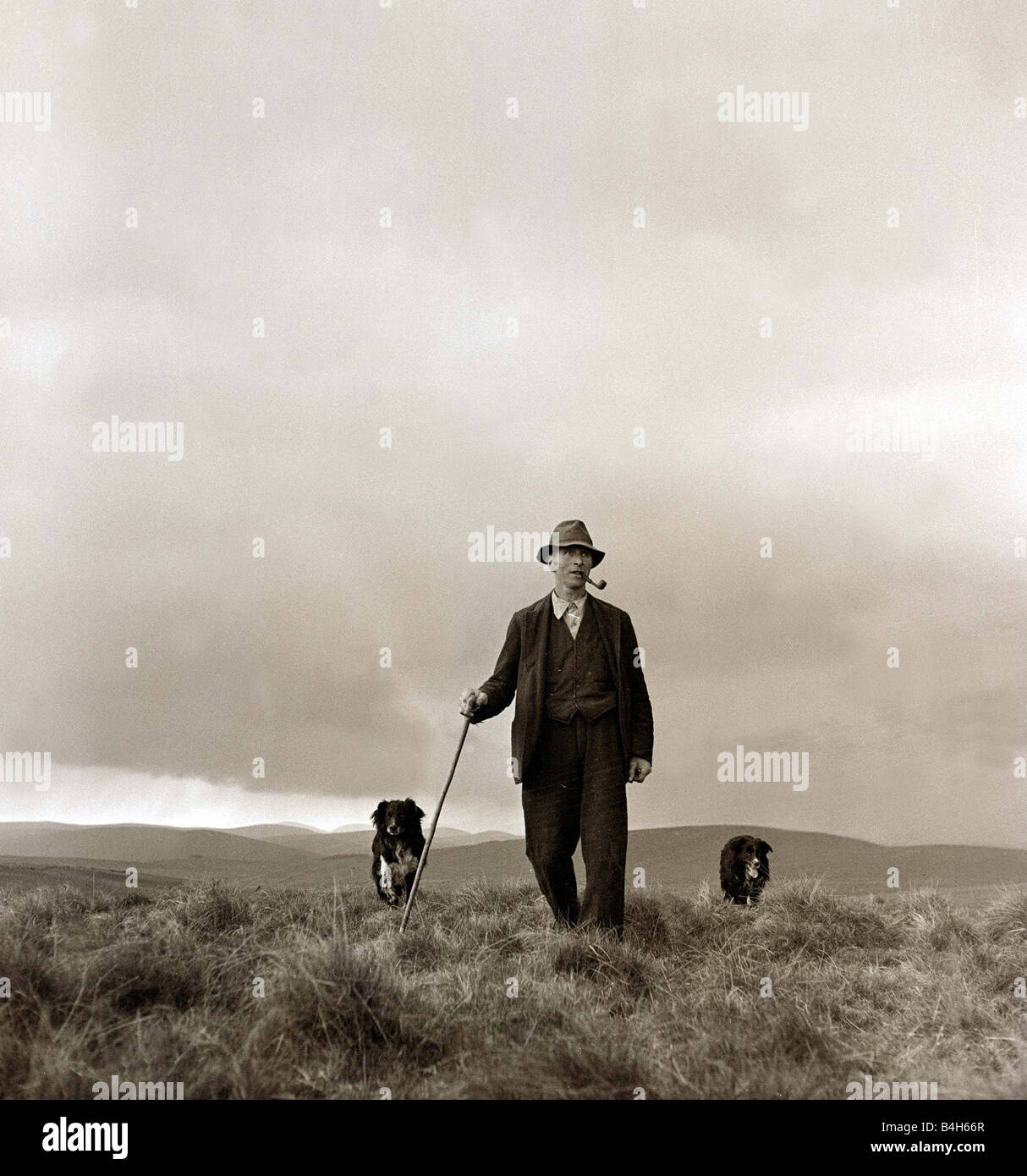 A shepherd smoking his pipe holding his crook out walking on the moors ...