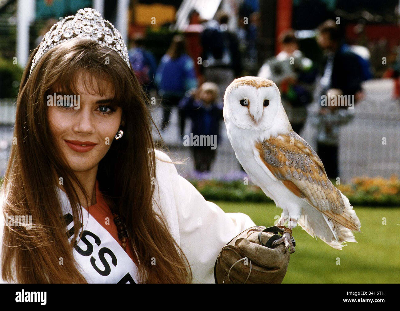 Birds Owls Barn Owl Tyto with winner of the Miss beautiful eyes ...