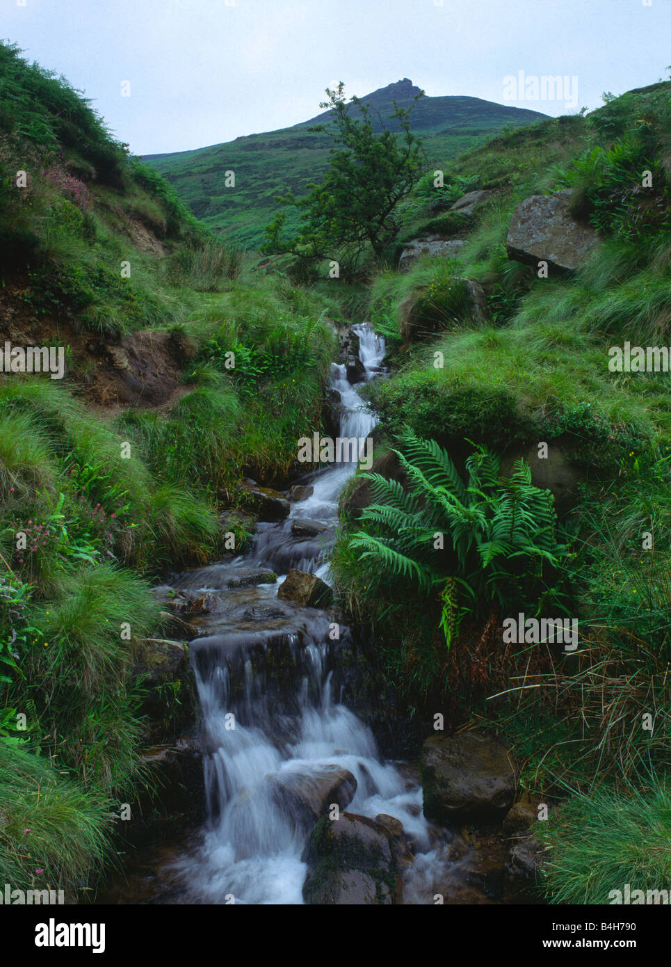 Mountain stream in Golden Clough and view to Ringing Roger on Kinder ...