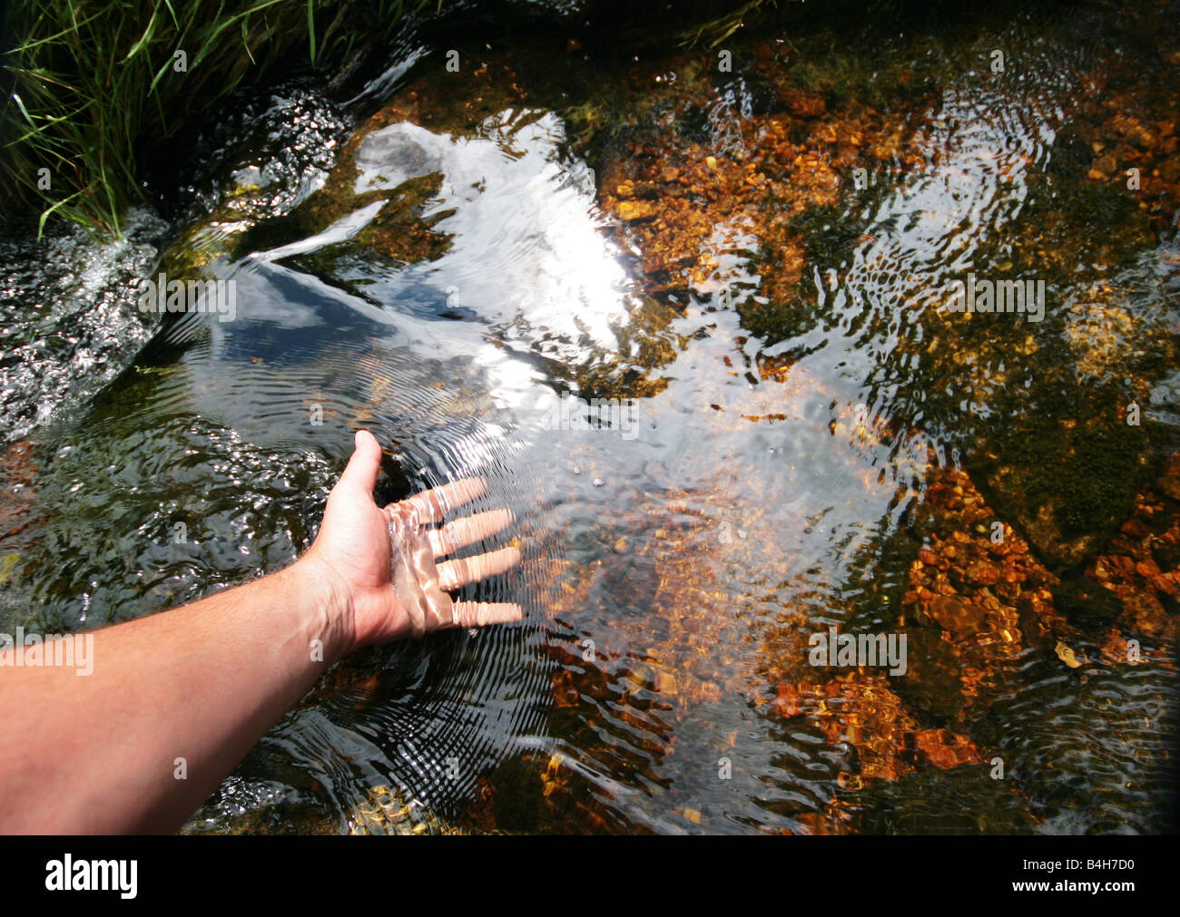 hand in stream Stock Photo - Alamy