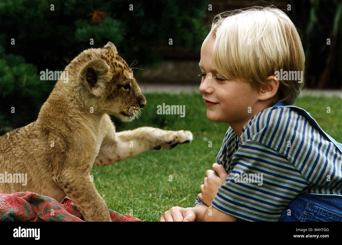 Mason Gamble Rushmore