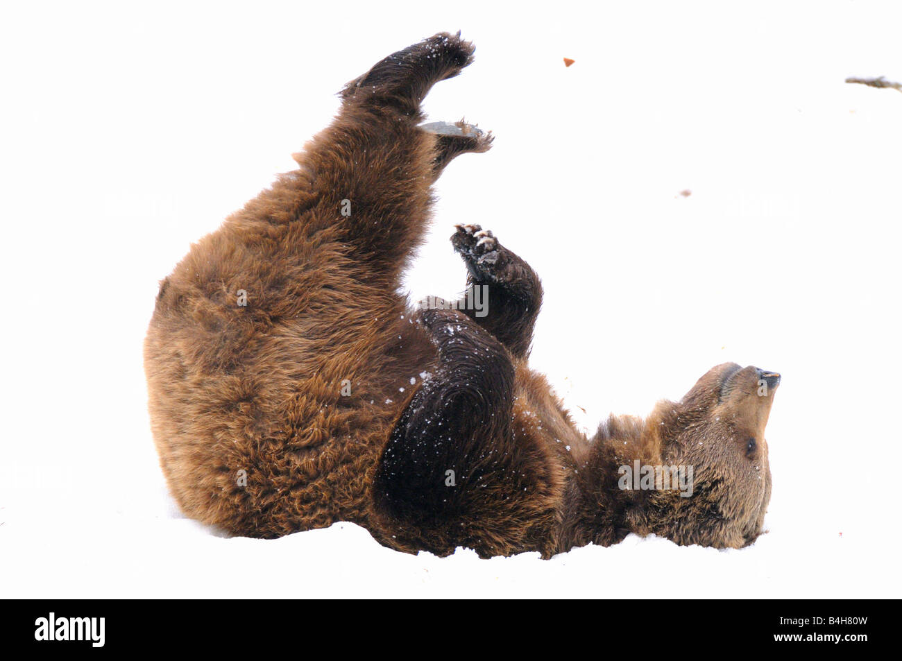 Outdoors lying Cut Out Stock Images & Pictures - Alamy