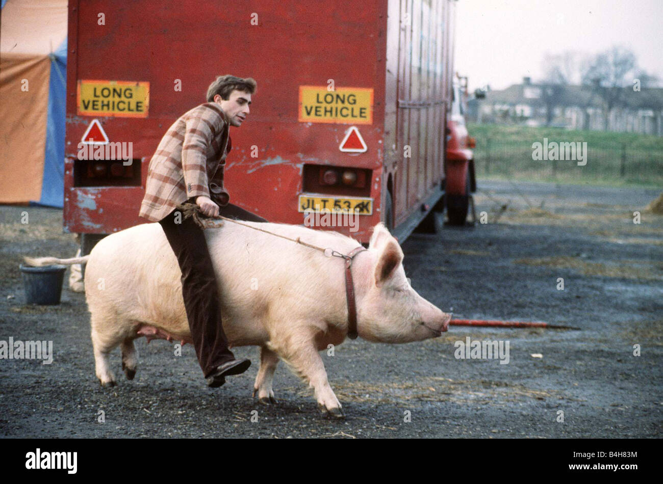 Riding pig hi-res stock photography and images - Alamy