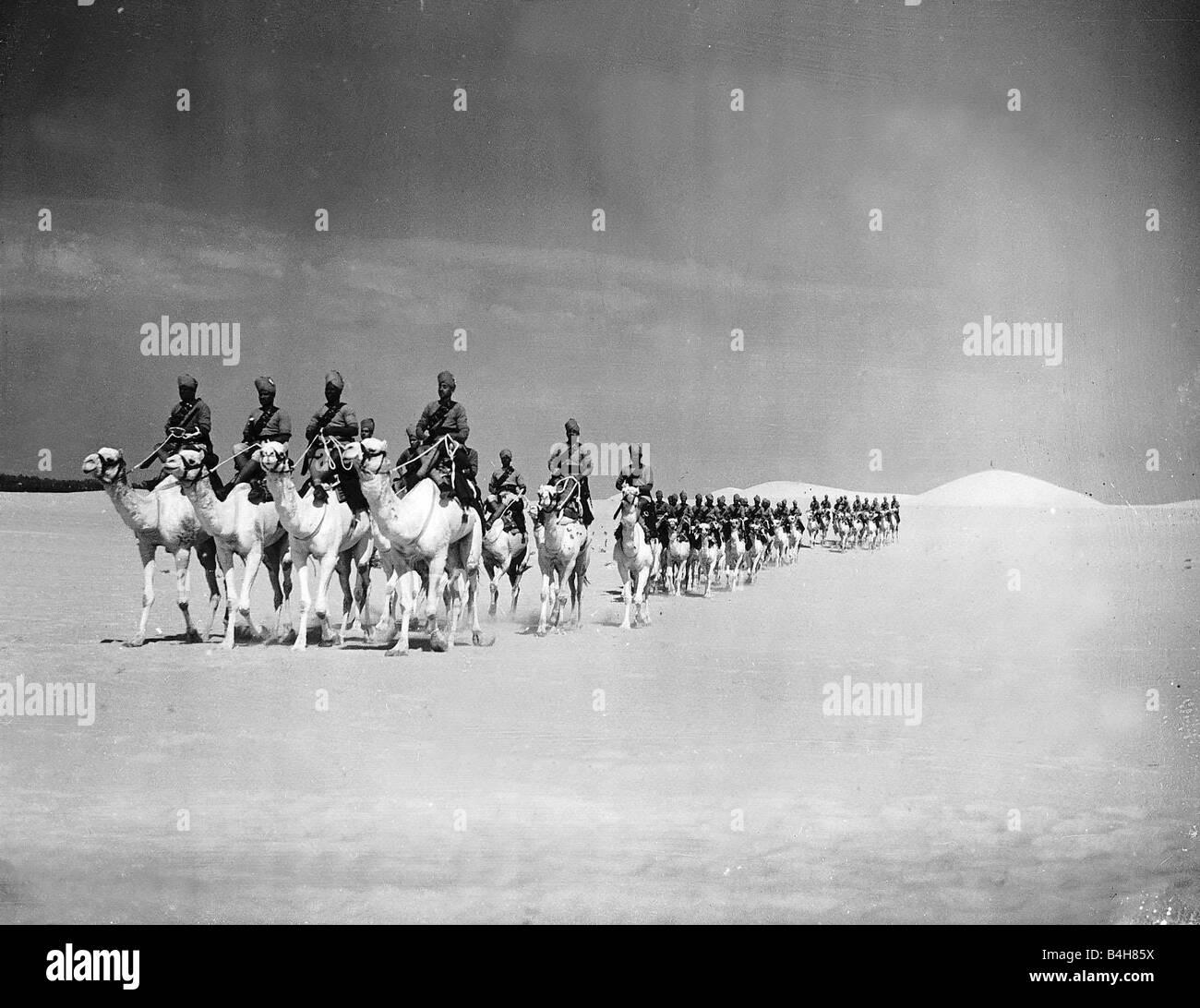Egyptian camel corps hi-res stock photography and images - Alamy