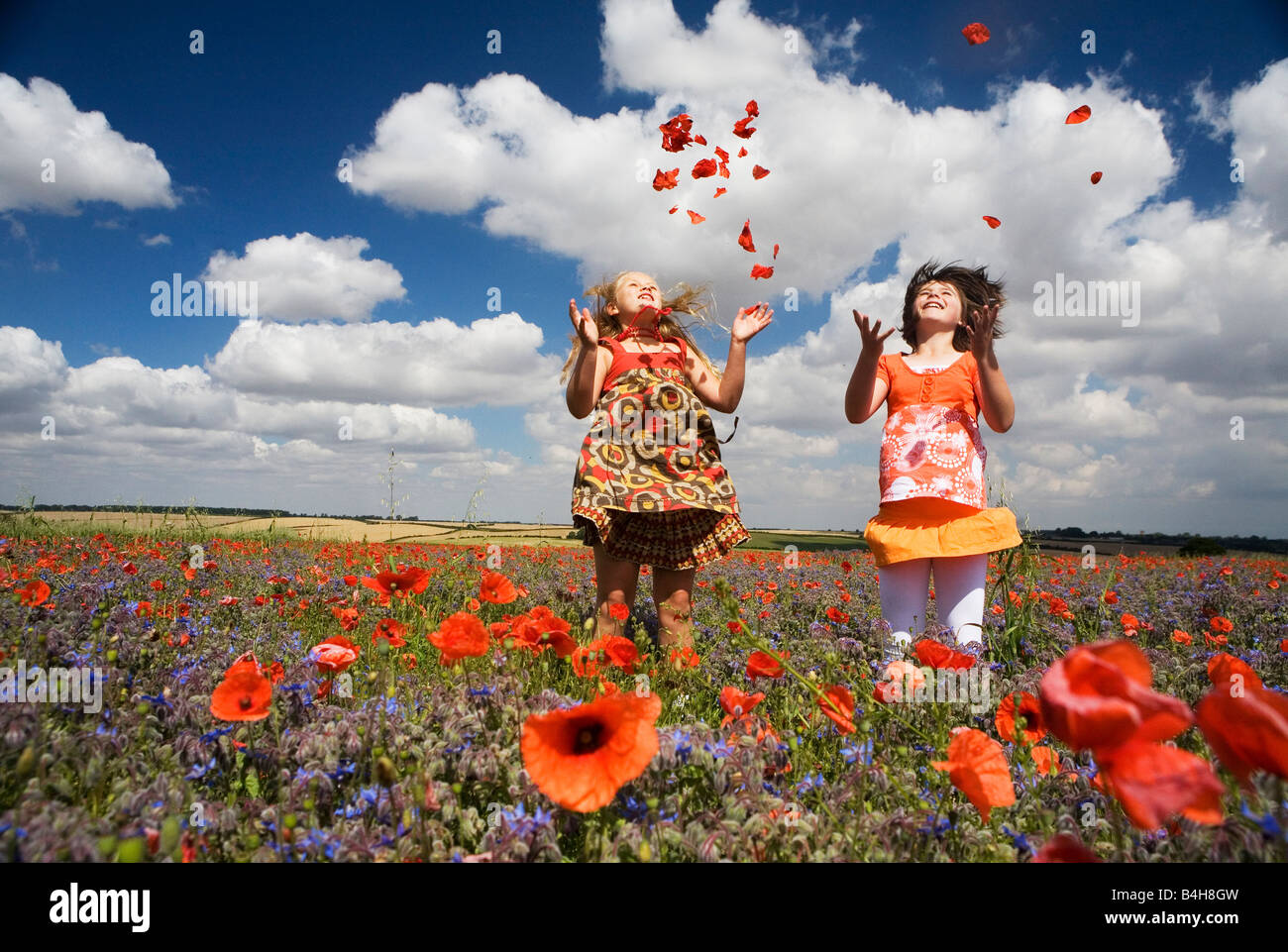 Children playing in poppy field Stock Photo - Alamy