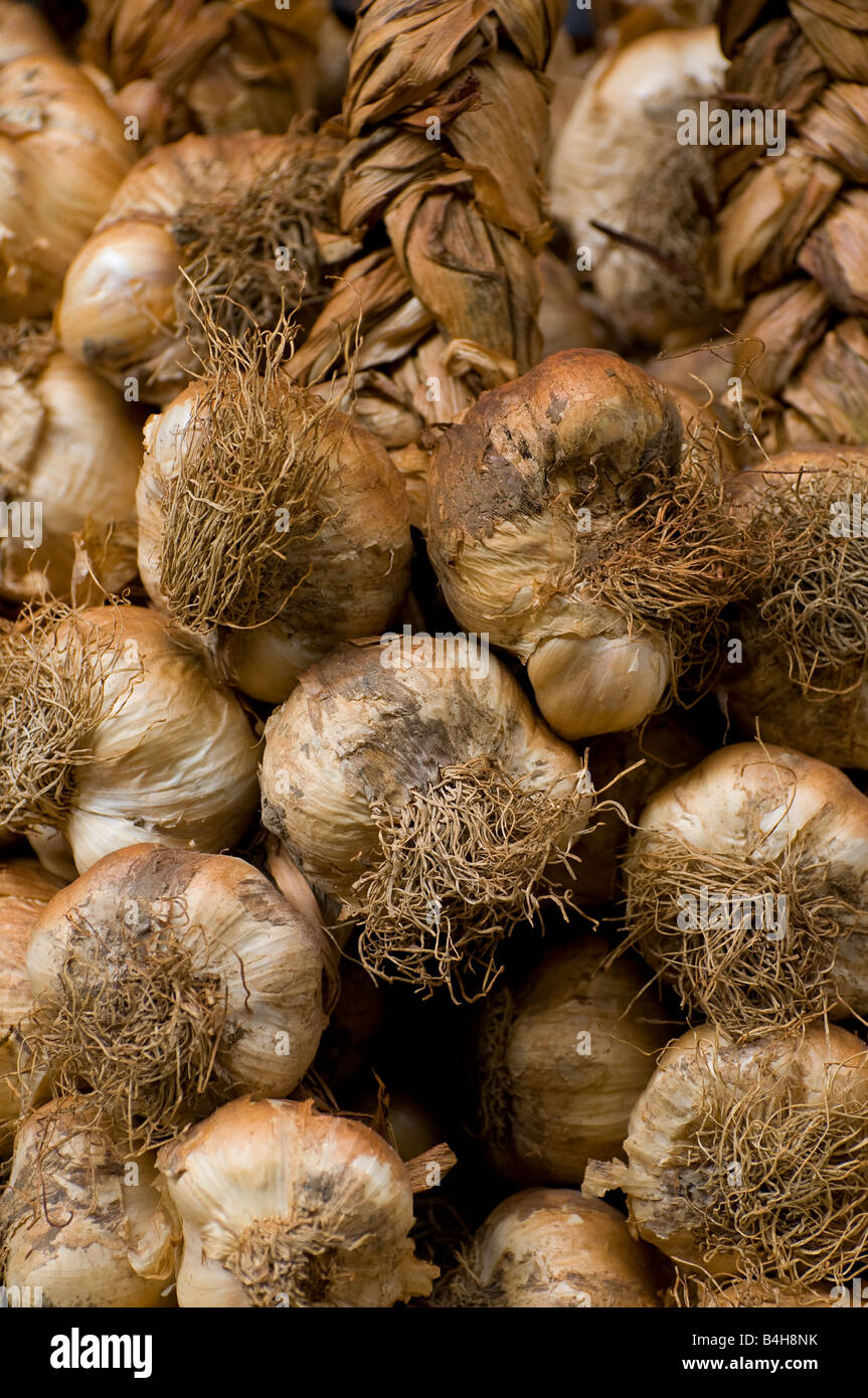 Garlic Market France Healthy Bulbs High Resolution Stock Photography ...