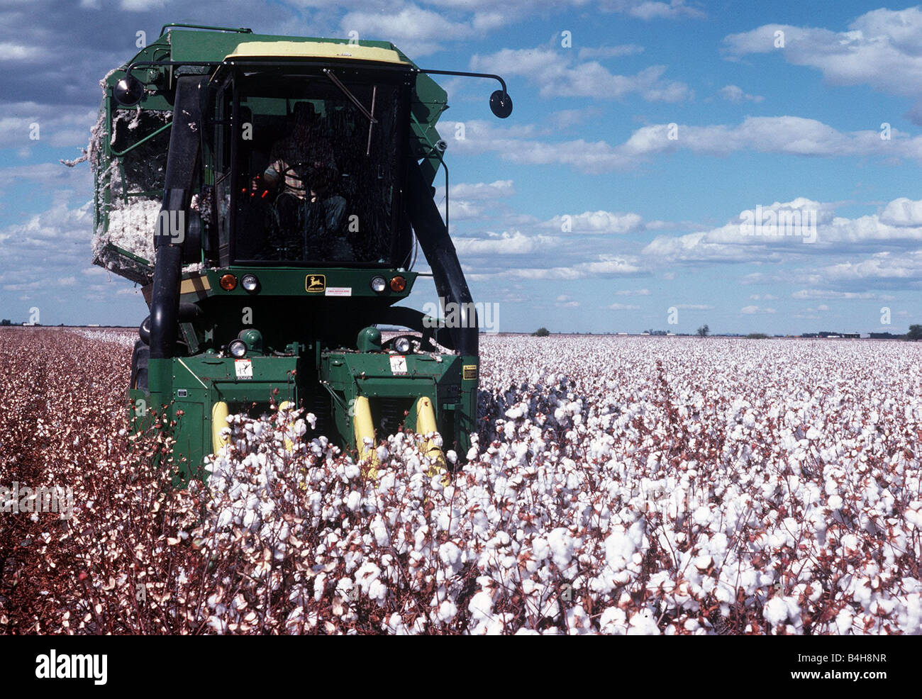 Cotton farming australia hi-res stock photography and images - Alamy