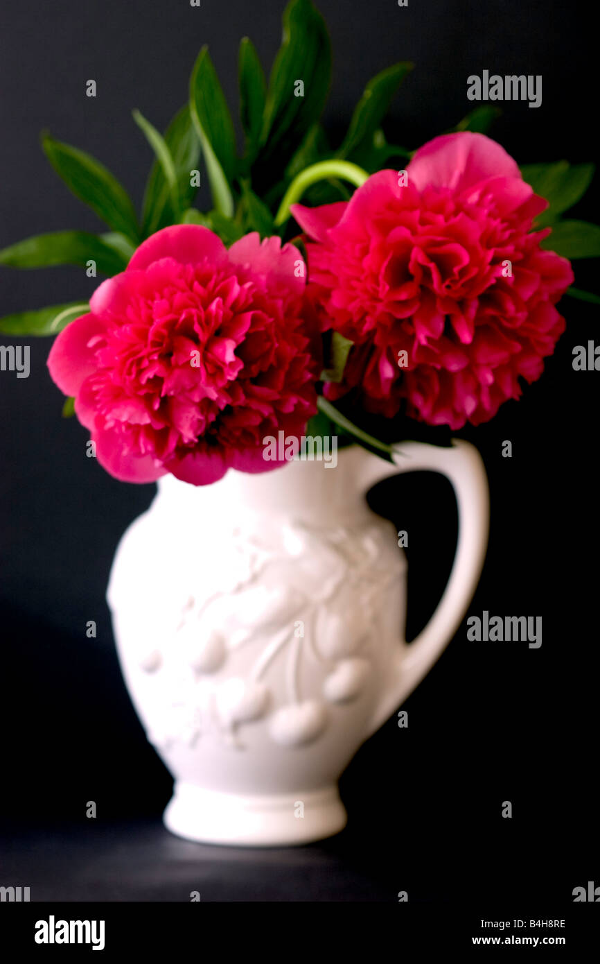 Two Peonies in a vase Stock Photo - Alamy